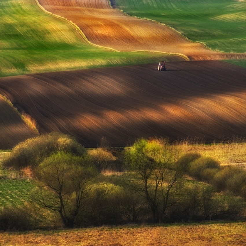 spring by Adam Holweg