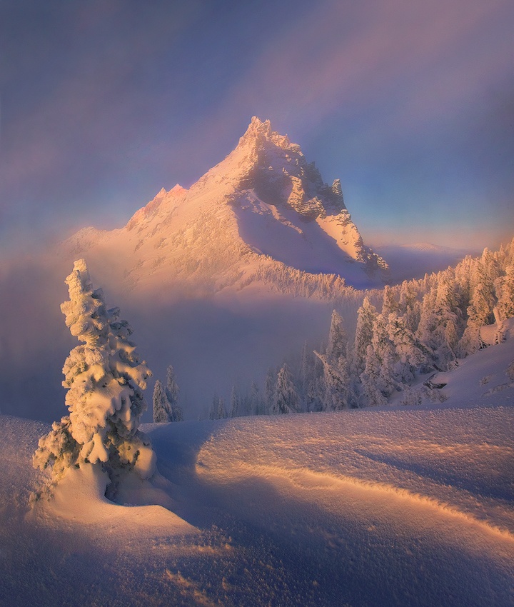 Clearing by Marc Adamus