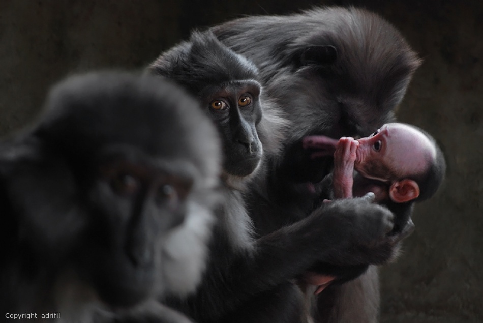 adrifil • Photographer Profile • 1x.com