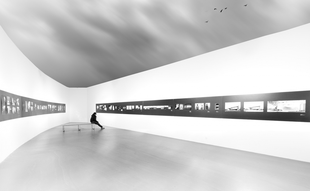 The Magic of Negative Space in Photography