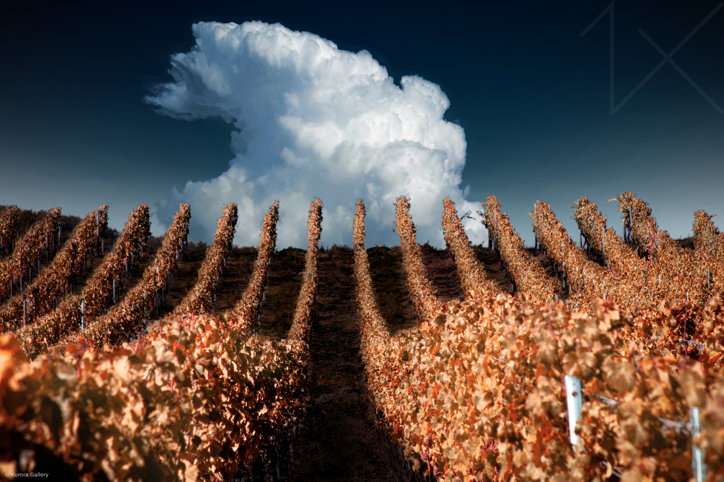 cloud rise by Komra Gallery