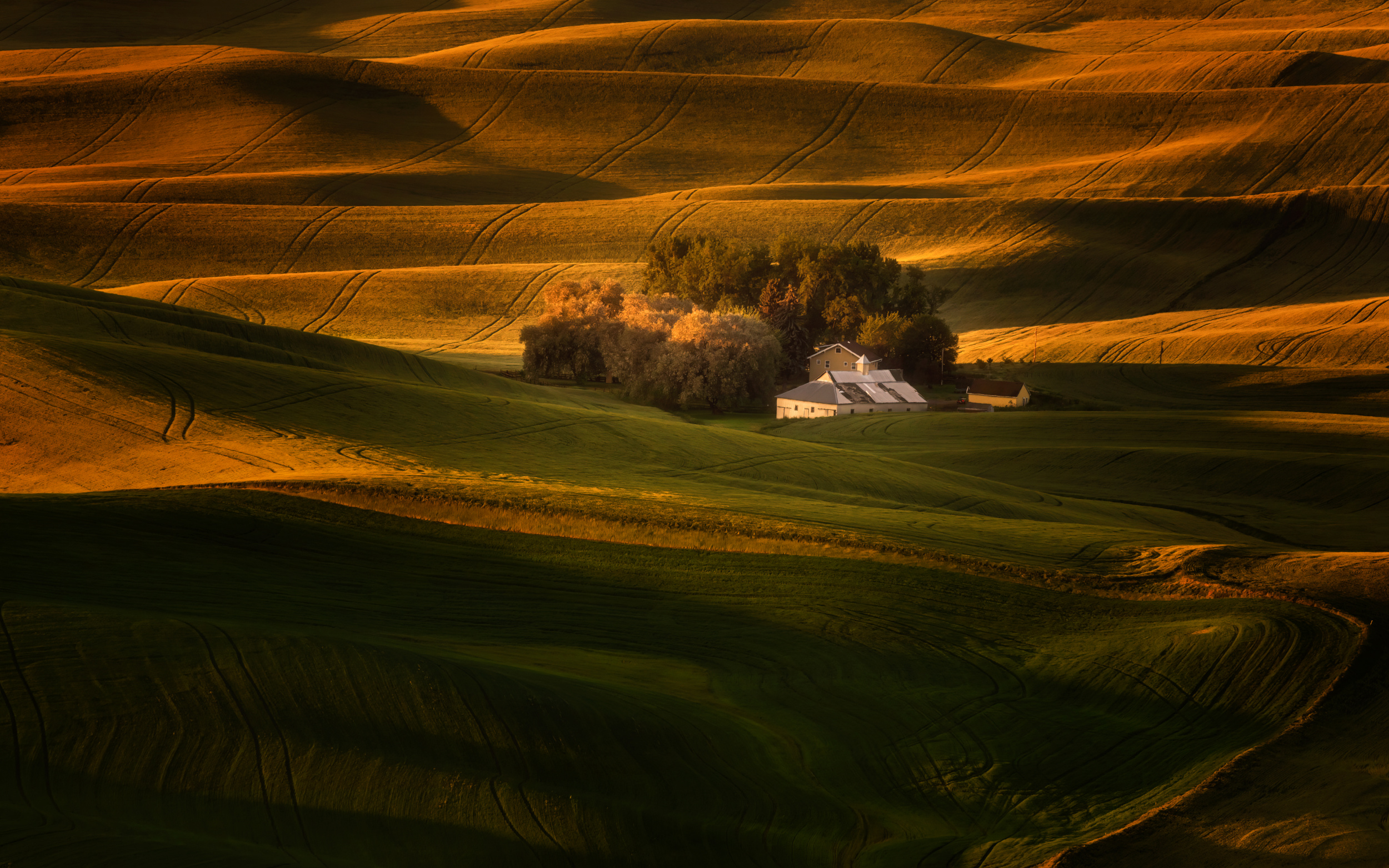 The Palouse farm at golden hour by Joan Zhang