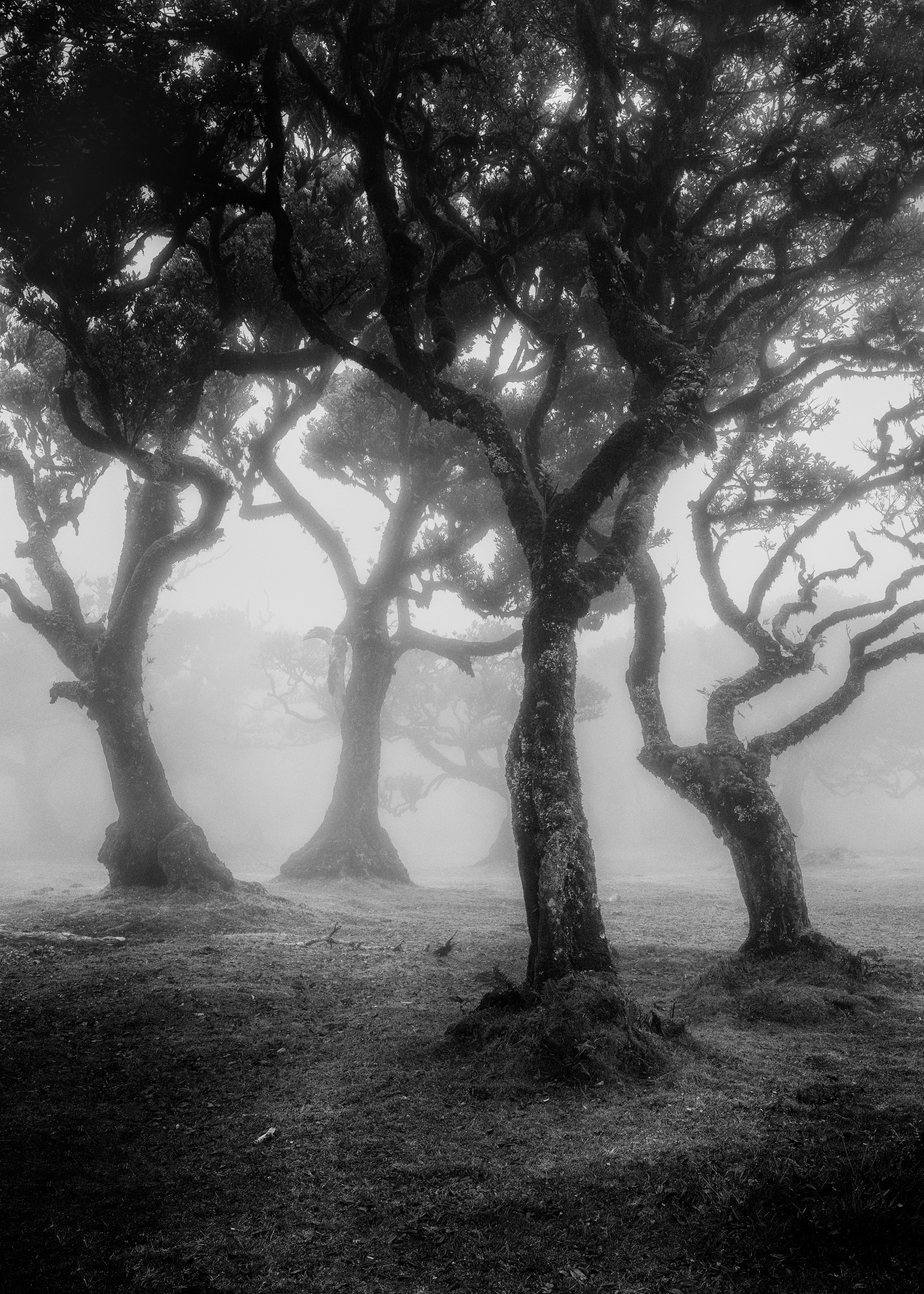 Fanal 03 by Walter Lackner