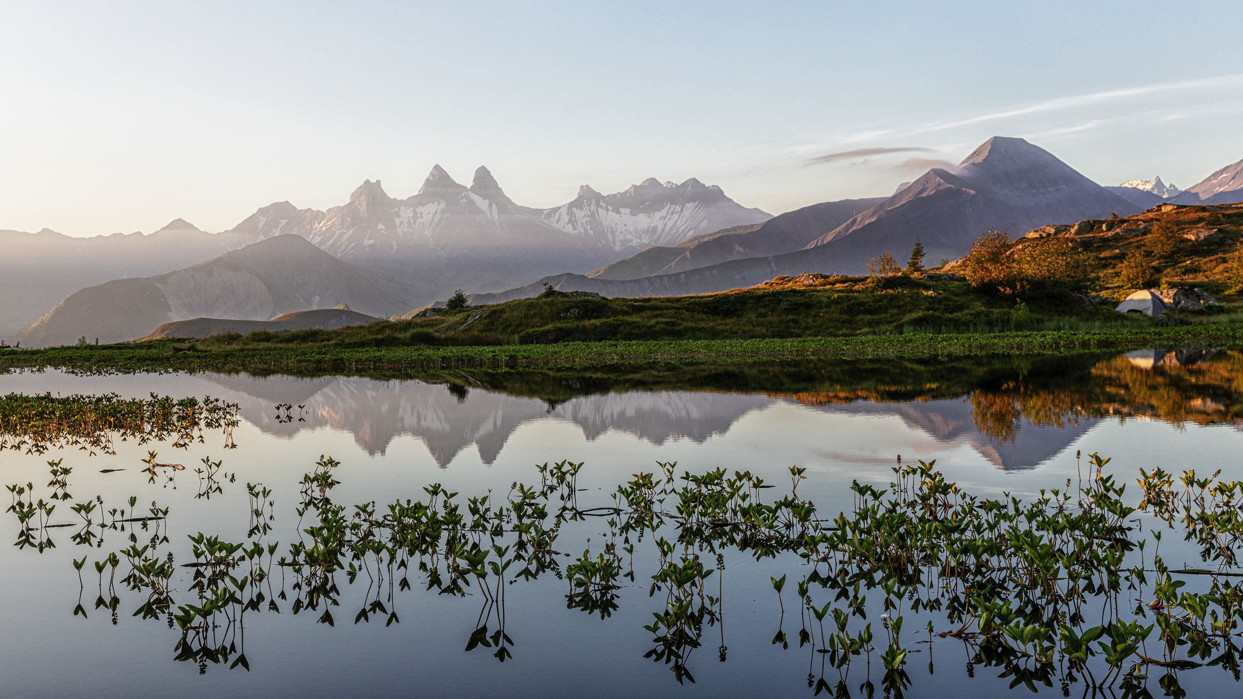 first light by Uschi Hermann