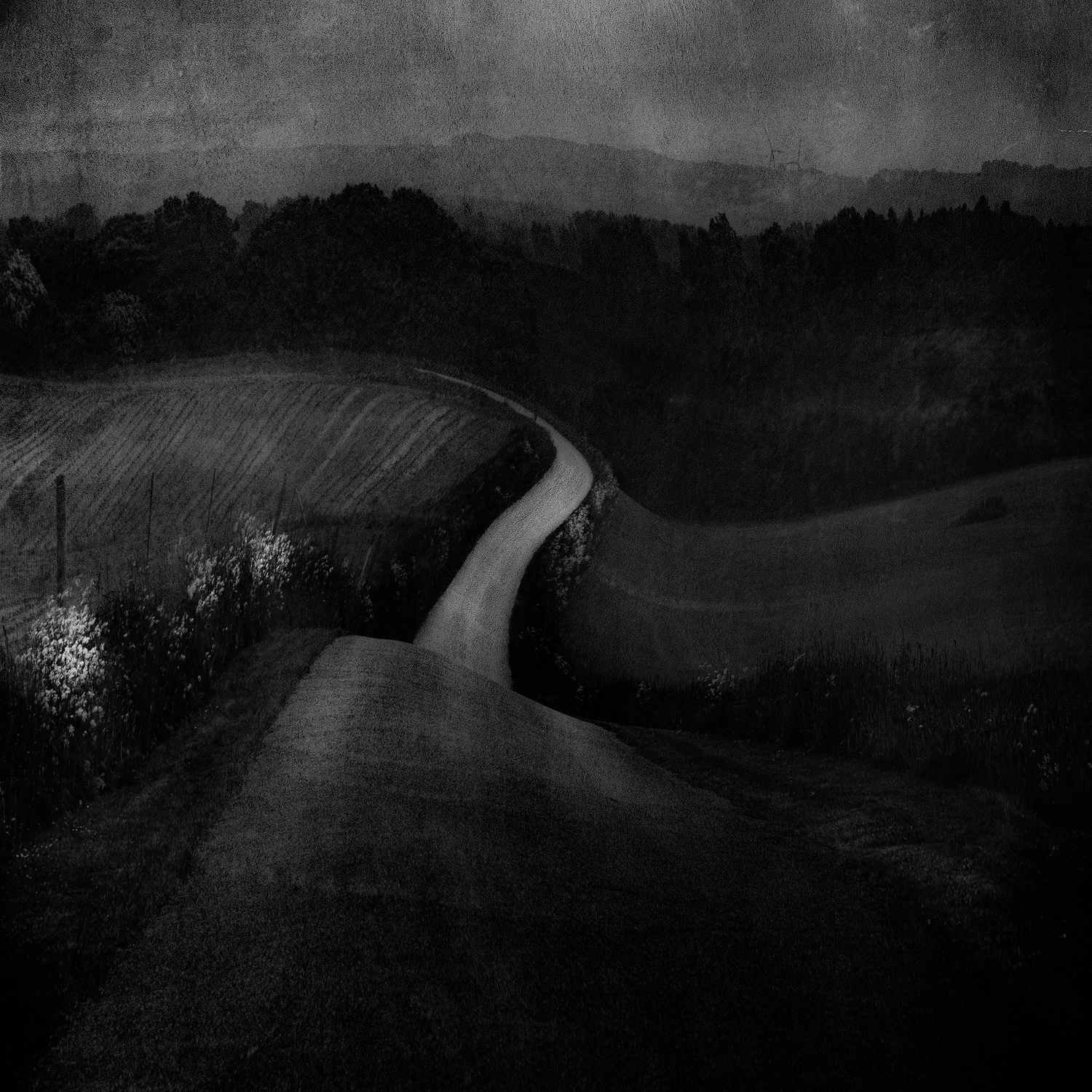 Landscape by Inge Schuster