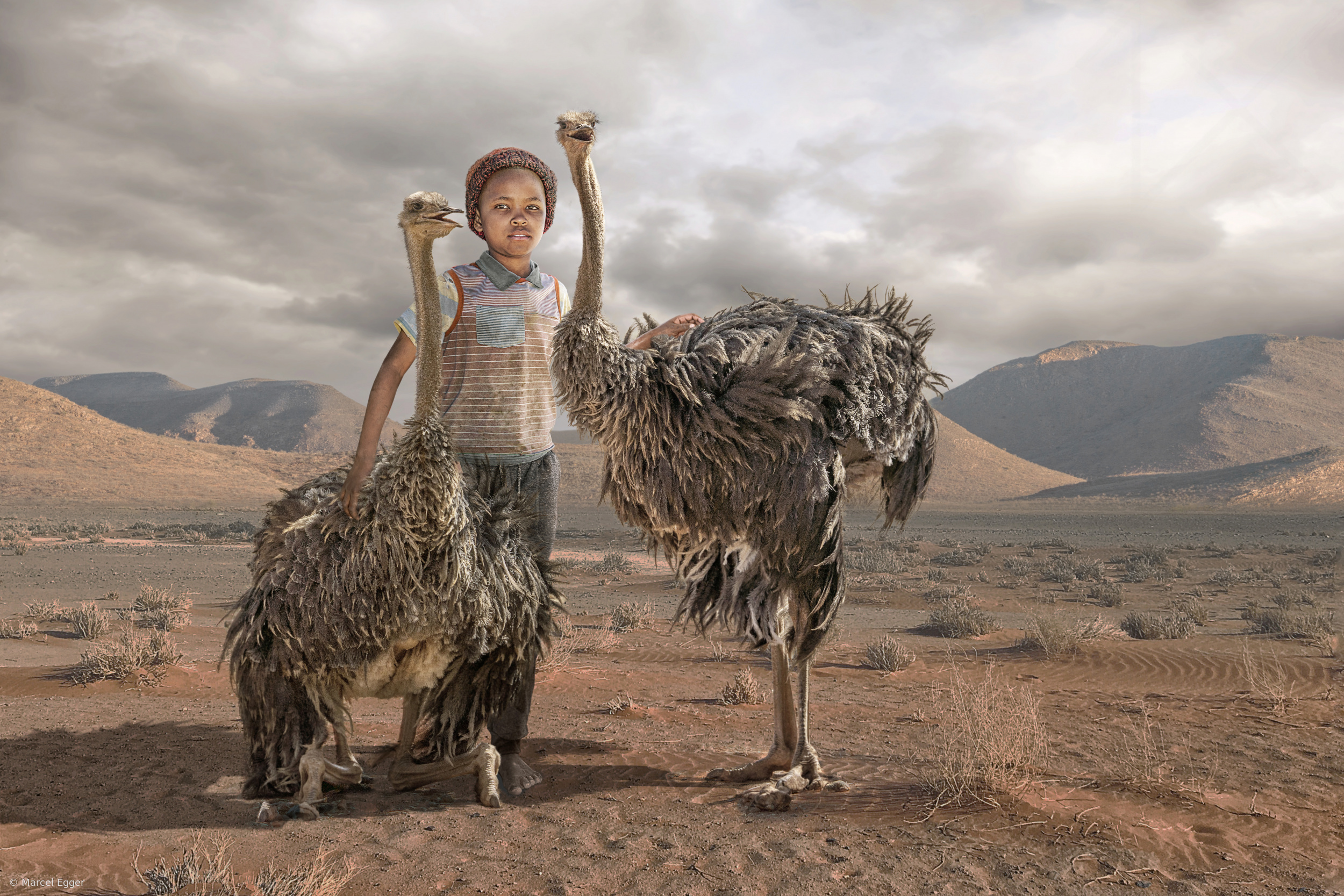 OstrichBoy by Marcel Egger