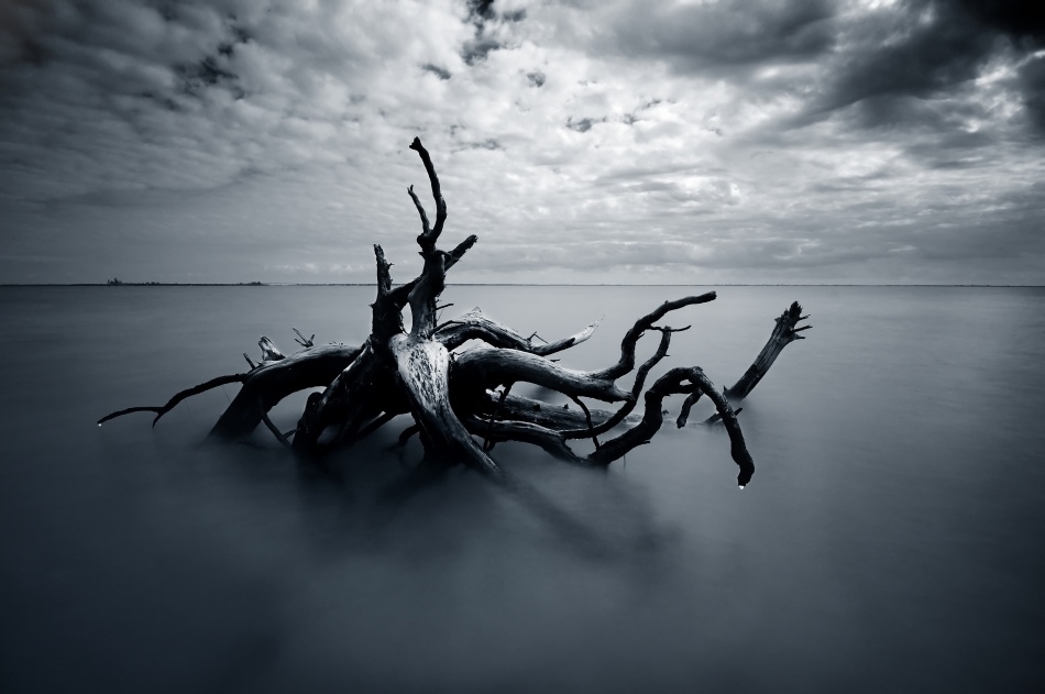 Bill Mangold • Photographer Profile • 1x.com