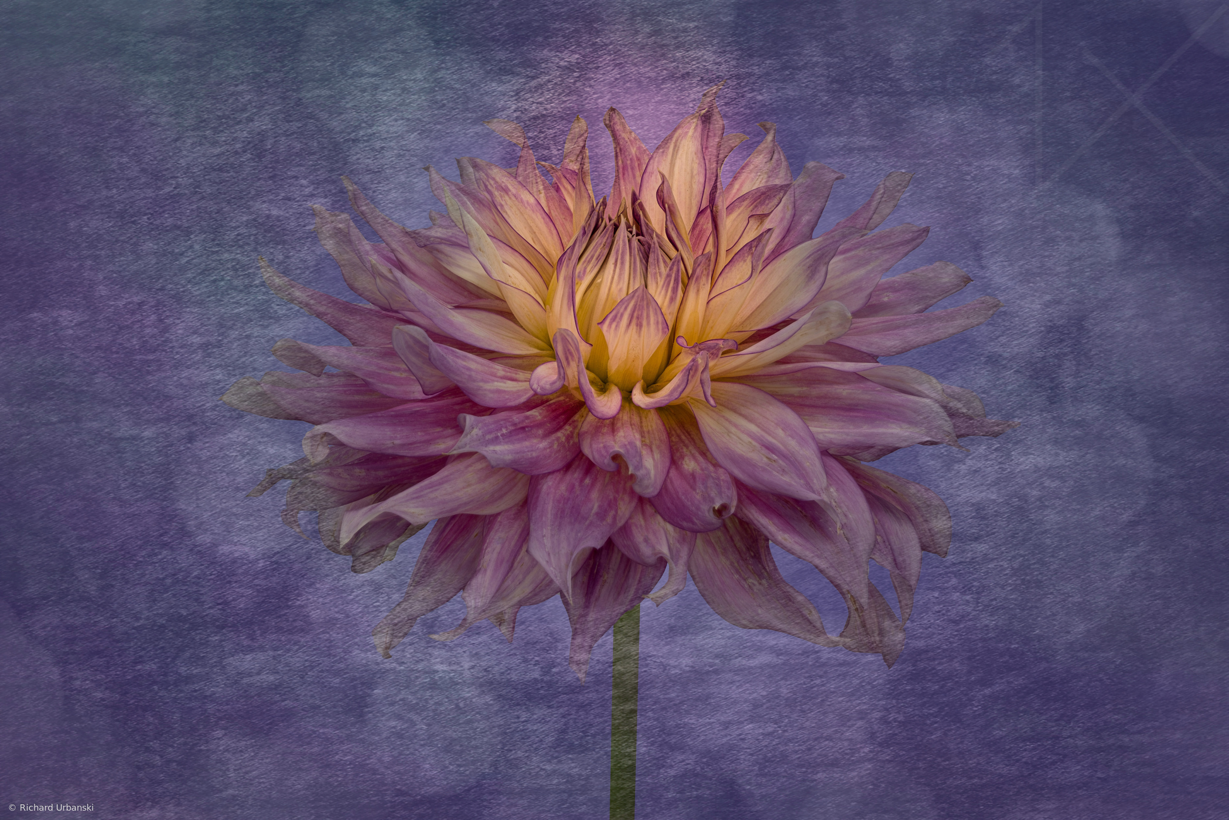 Inner Light by Richard Urbanski