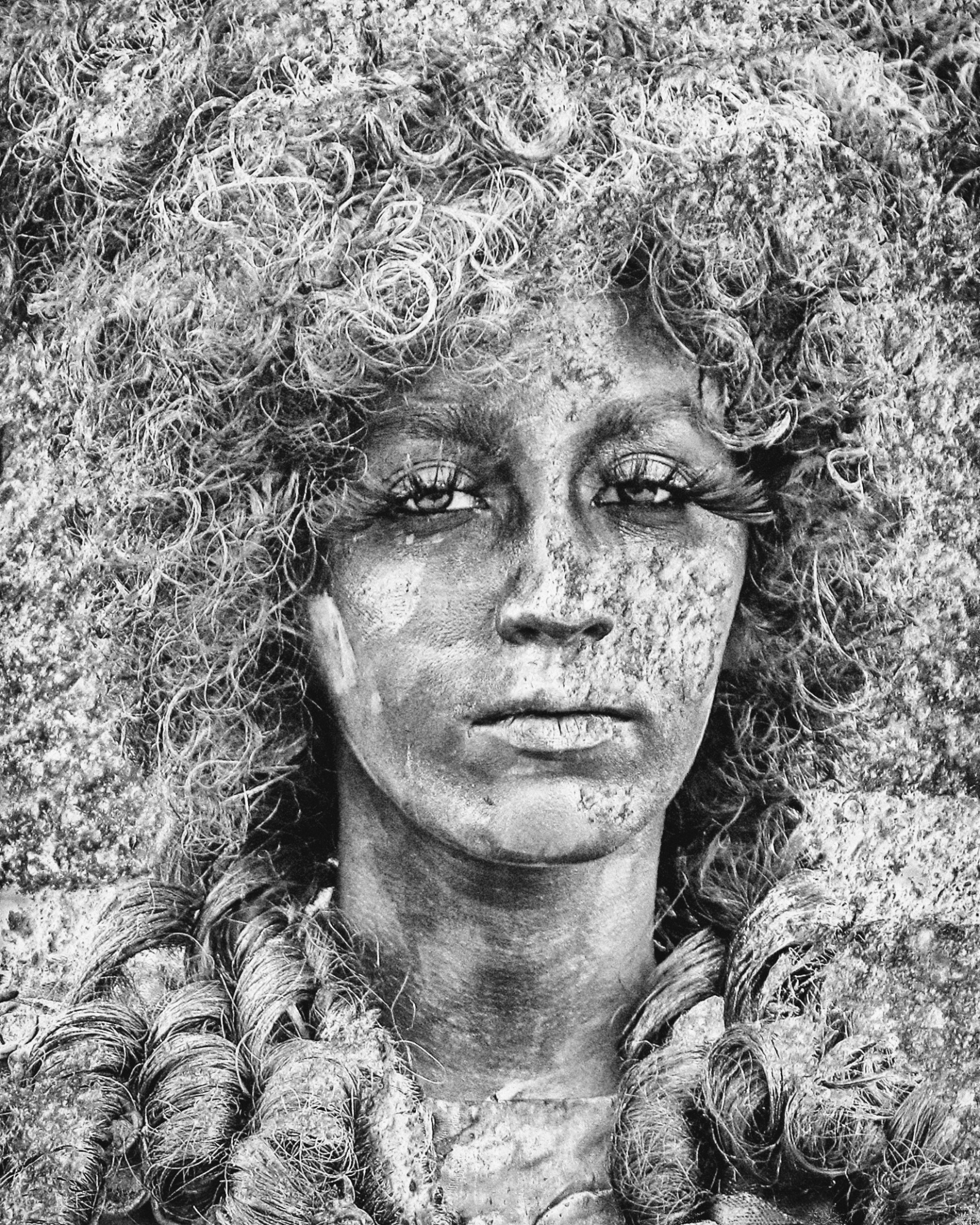 Ariel Ling's Instagram, Twitter & Facebook on IDCrawl