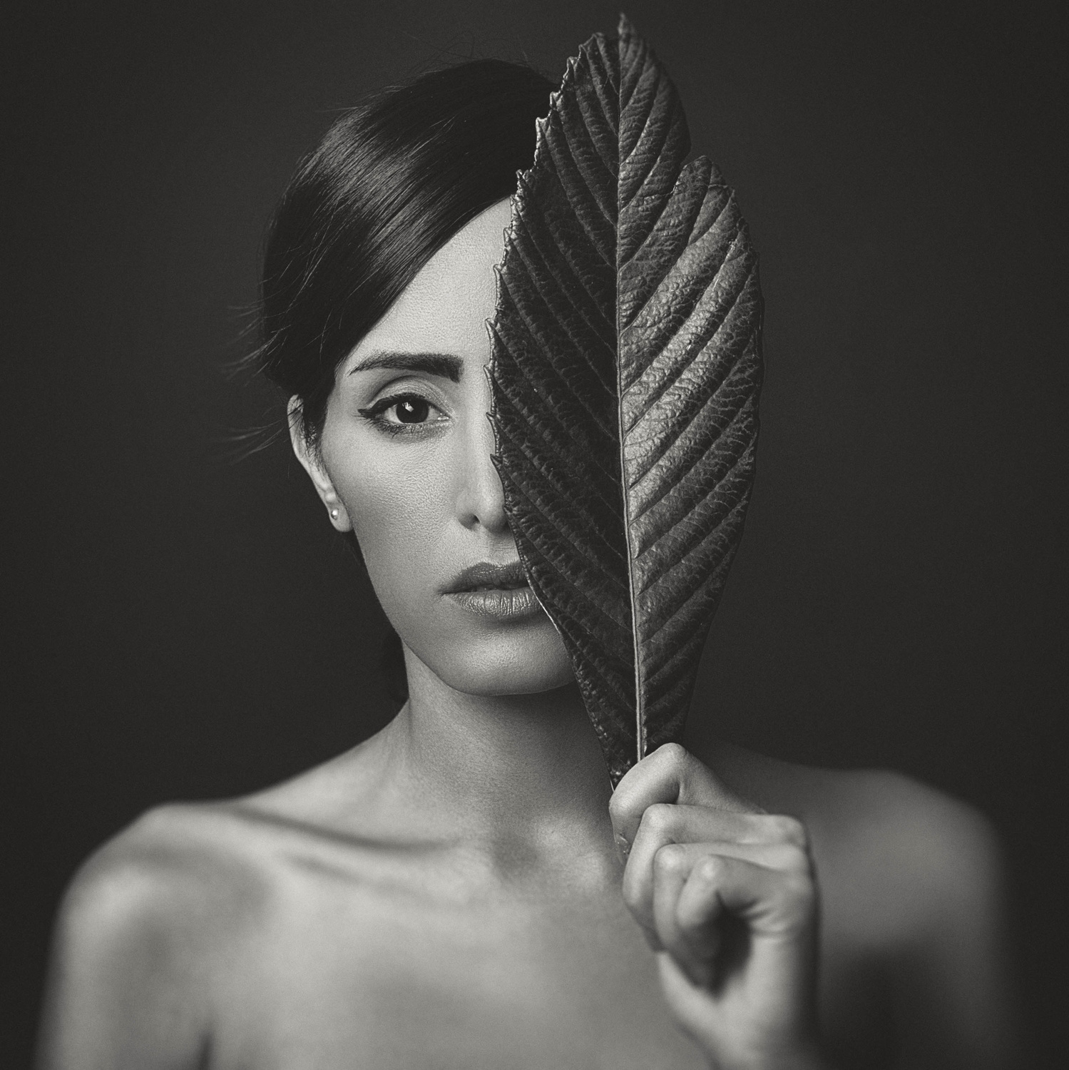 eli by Amin Hamidnezhad