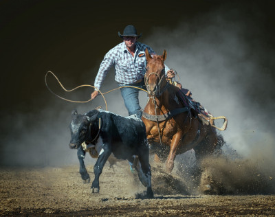 Team Roping Wallpaper