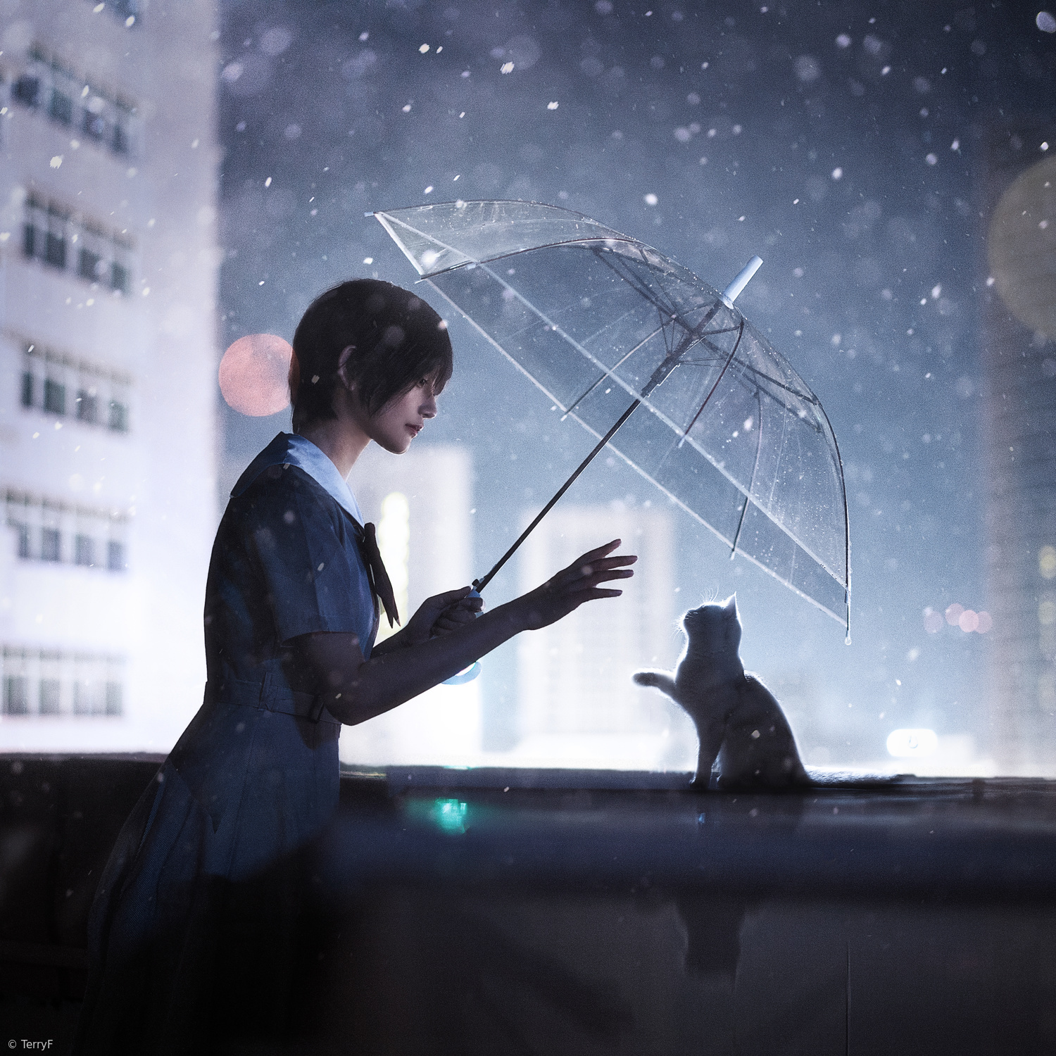 Encounter by Terry F