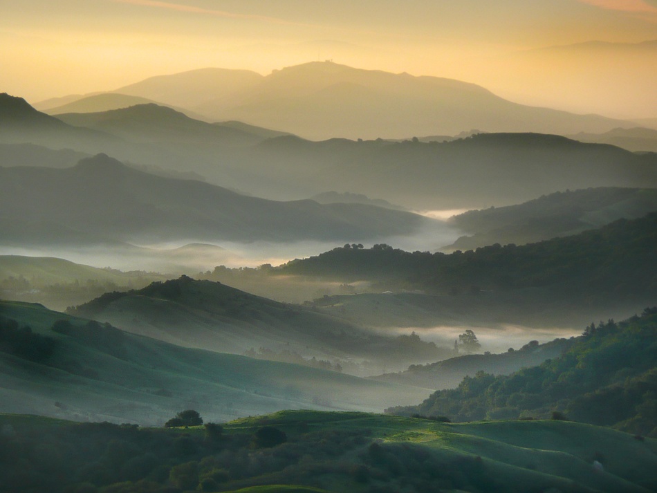 East Bay Hills by Gary Pope