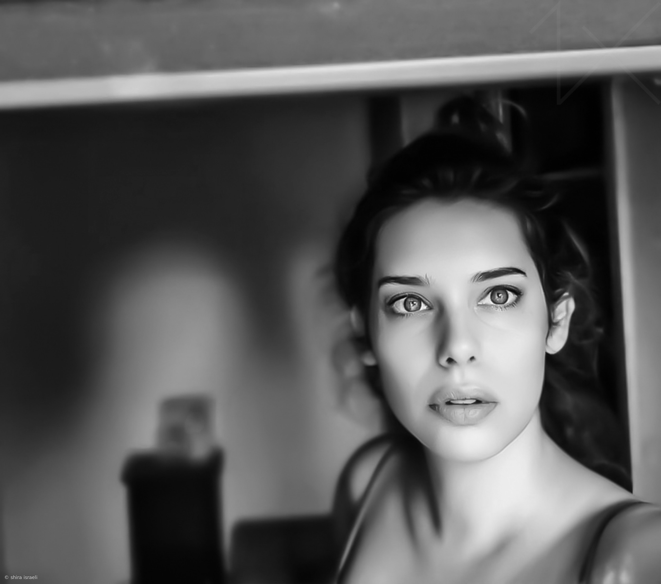 Looking forward by shira israeli