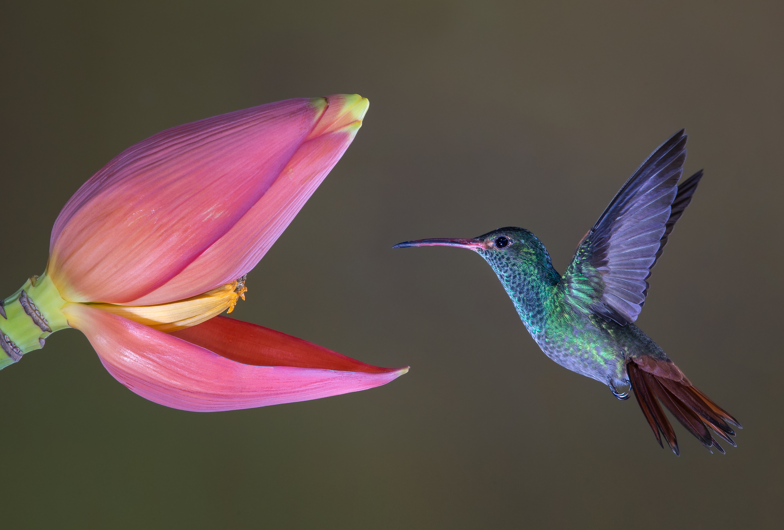 Target practice by Greg Barsh