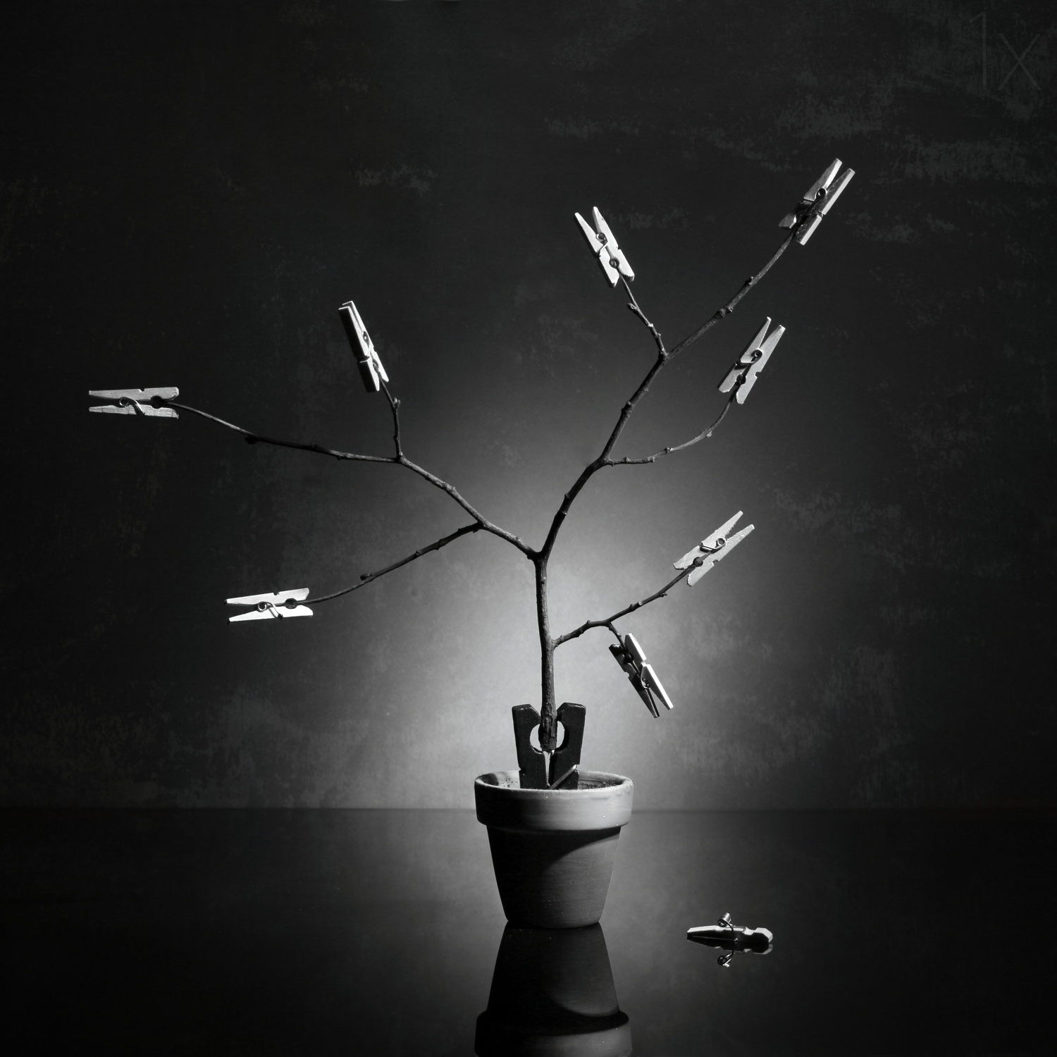 The fall by Victoria Ivanova