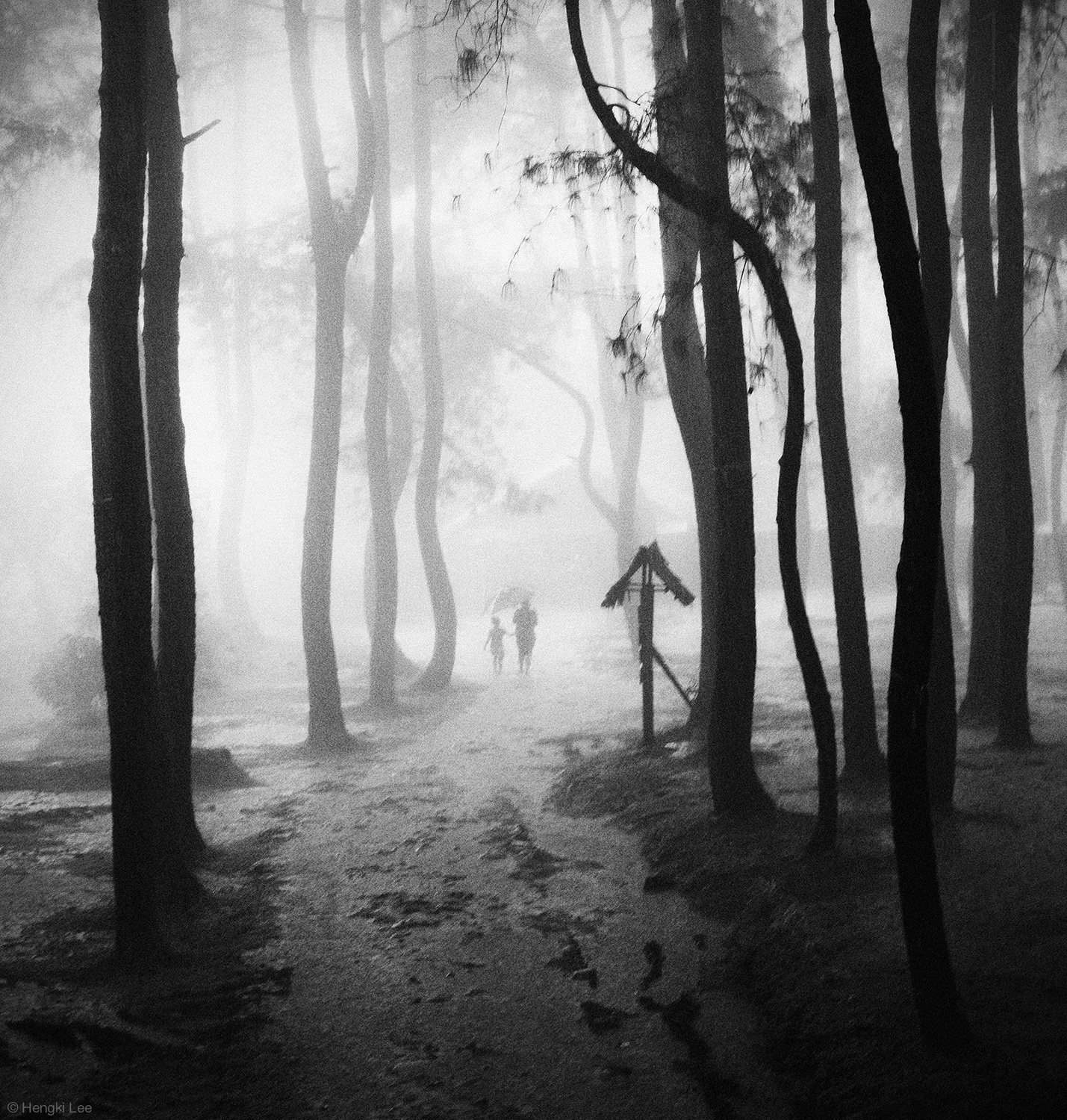 Eternal by Hengki Lee