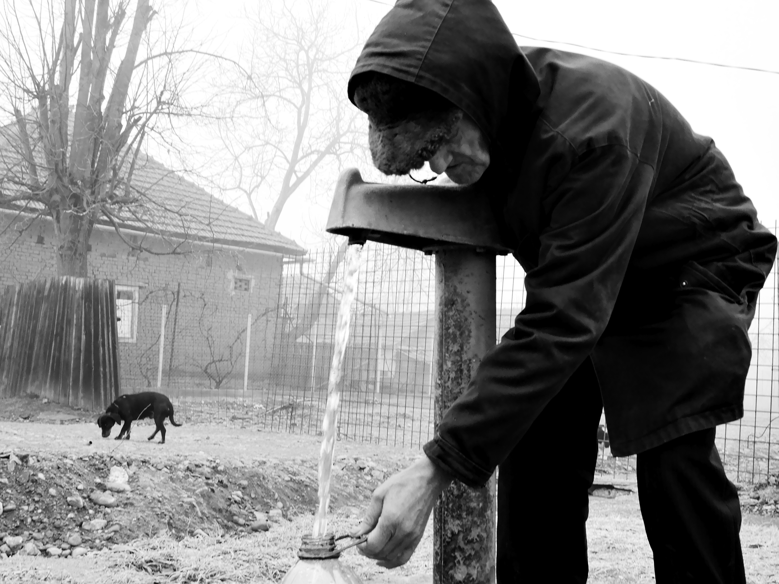 Existence by Dragoslav S.