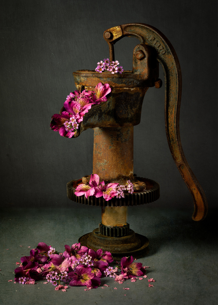 Wall Art Beyond Trends 2019 • art prints (refined posters) • 1x.com