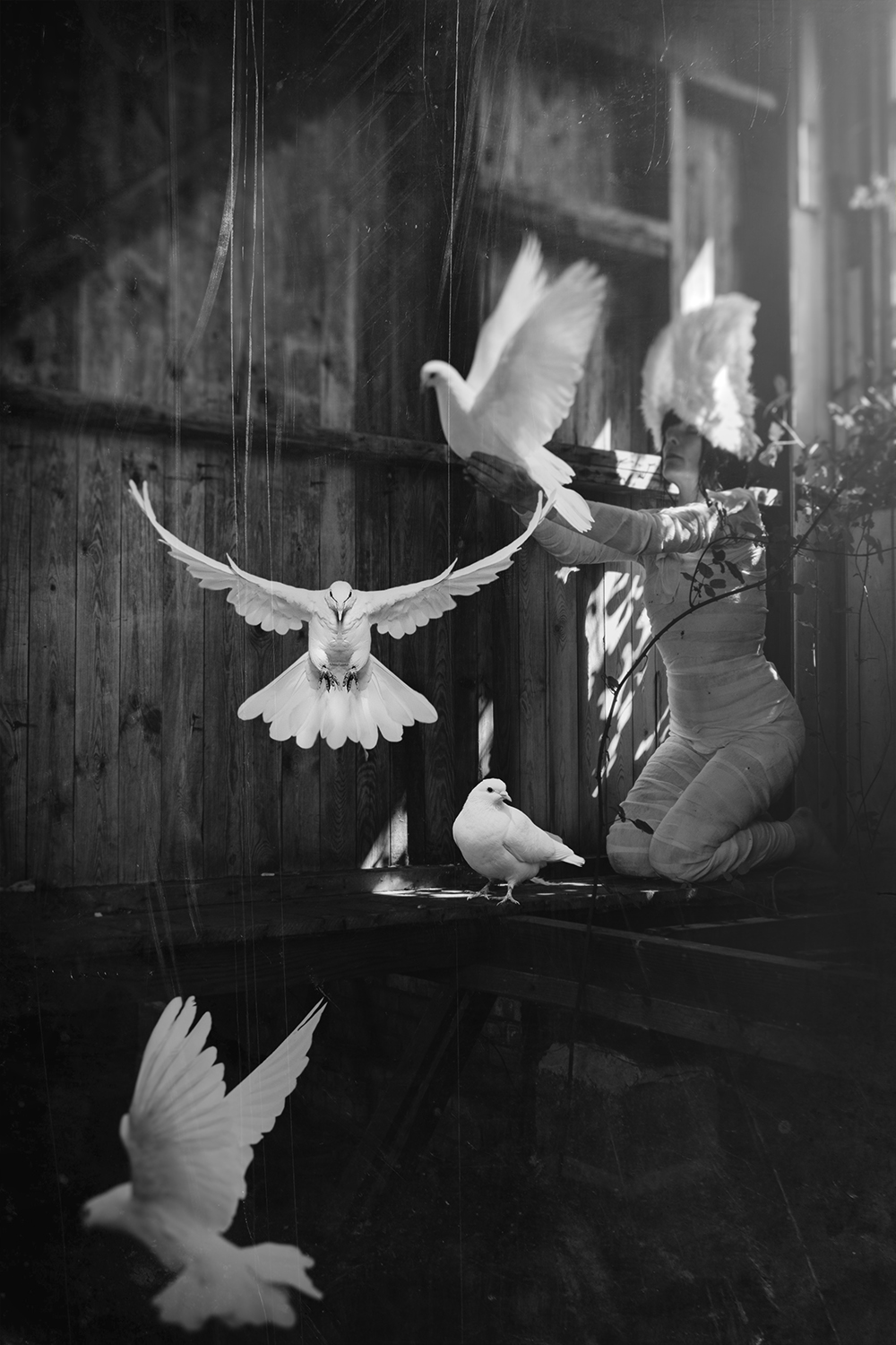 Release the peace by Button Moon