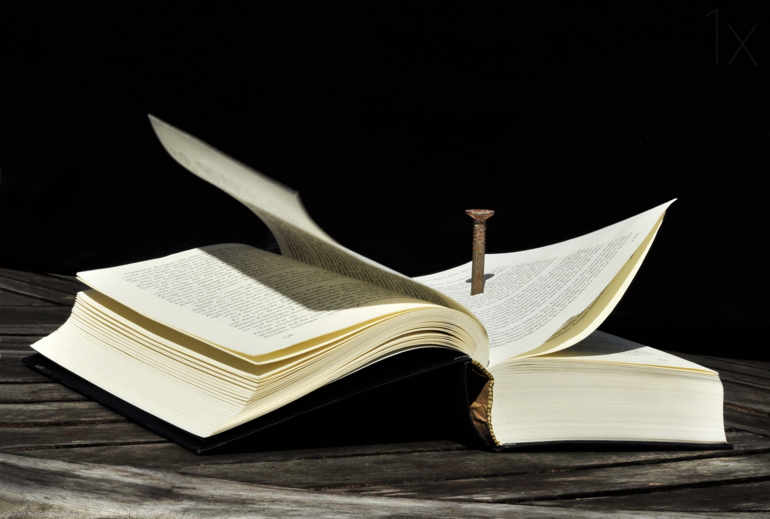 mind is free by Richard Otten-Wagener