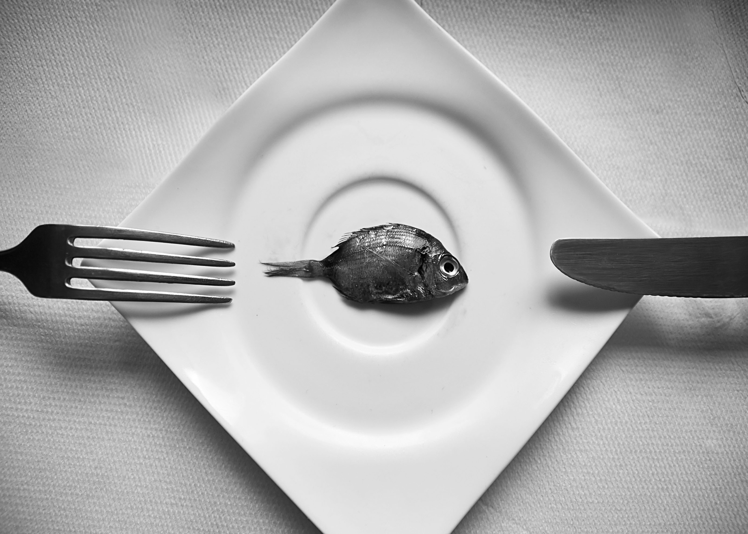 Modest Lunch by Ivana Miletic