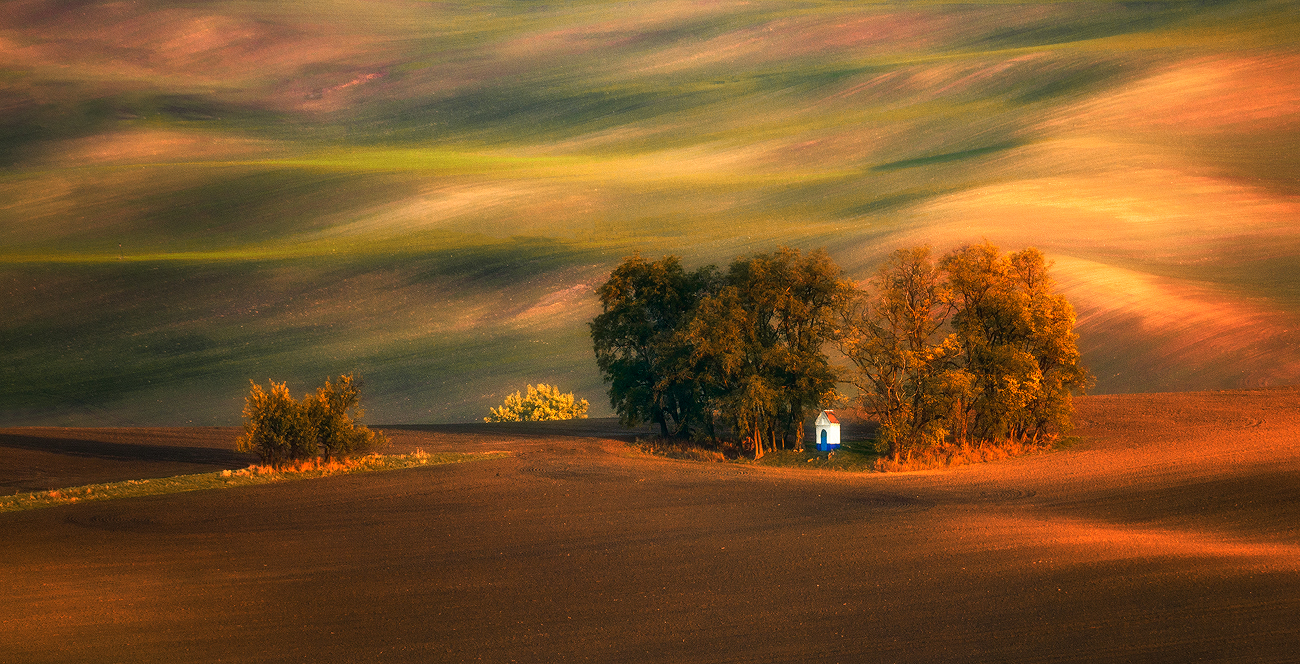 Autumn by Robert Radomski