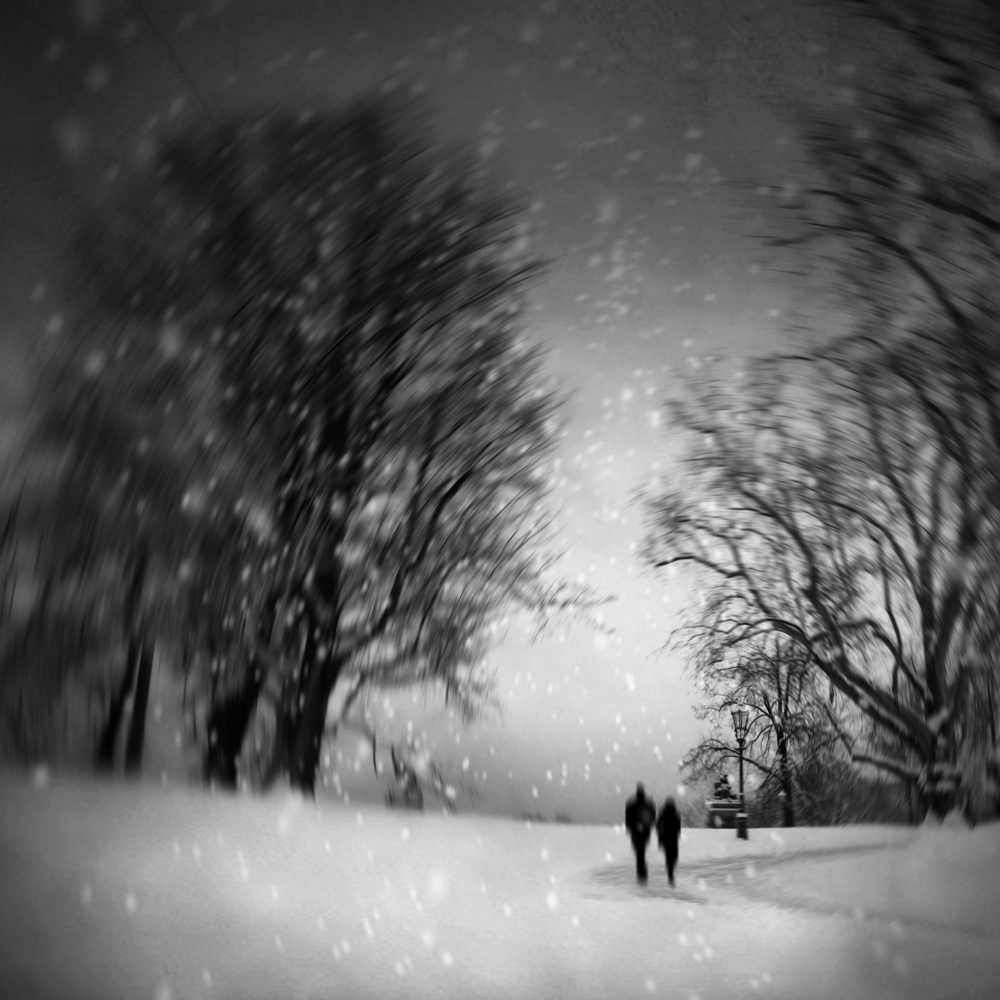 trickling snow by Anja Buehrer