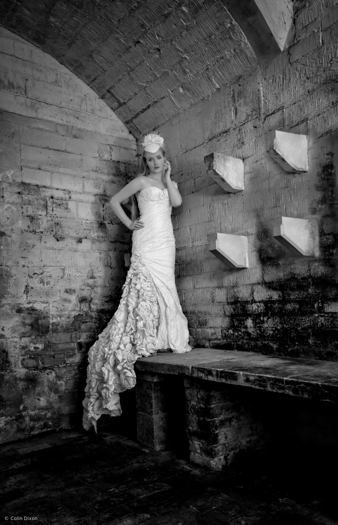 The lady 1 by Colin Dixon